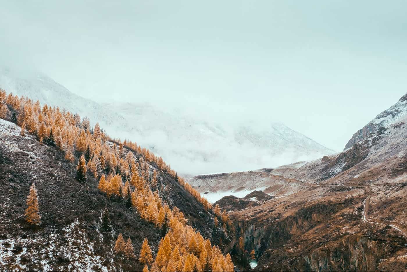 Conquer Bear Country with Confidence – Outdoor Shop